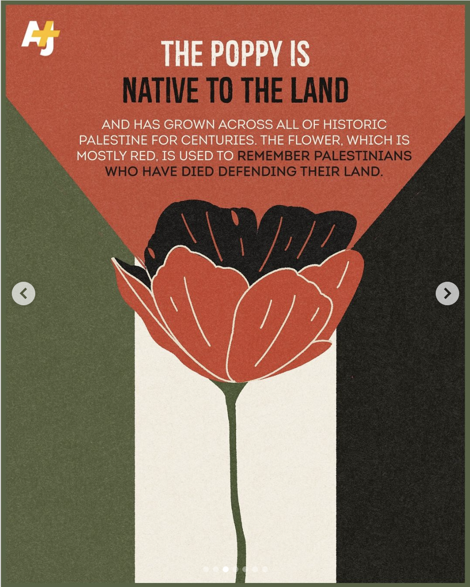 www.palestinepoppy.com – Expressing solidarity with Palestine